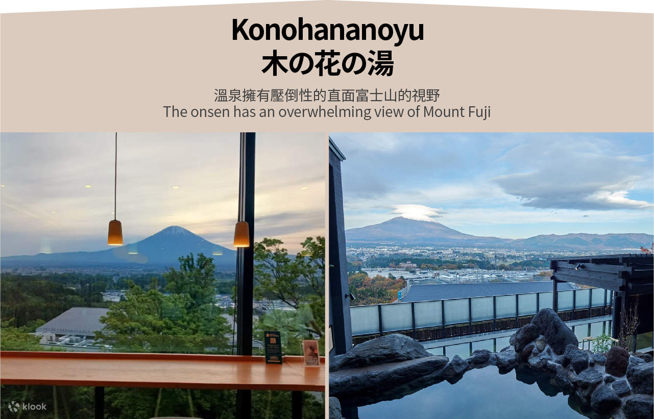 [Tokyo City Tour & Mt. Fuji Ski and Hot Spring Experience] Tokyo Sumo ...